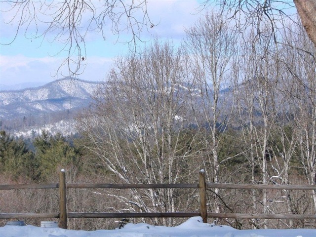 Winter Scenes